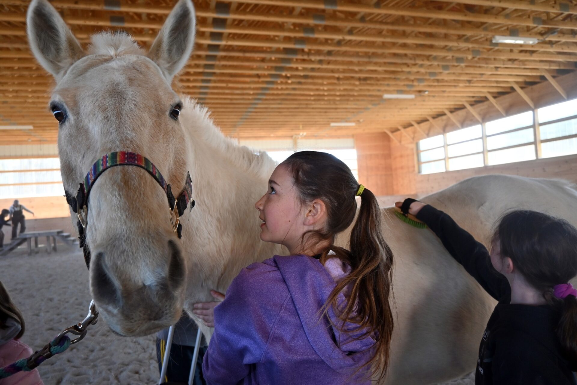 Humane Education Camps for Kids - NHSPCA