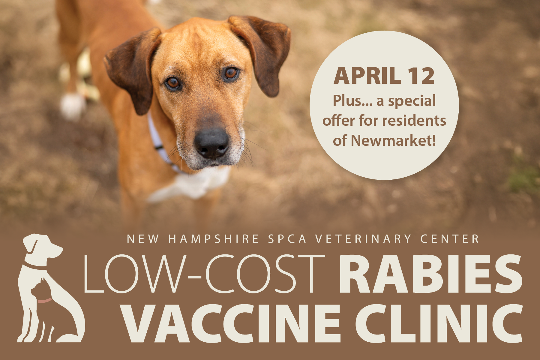 Rabies Clinic at the NHSPCA - NHSPCA