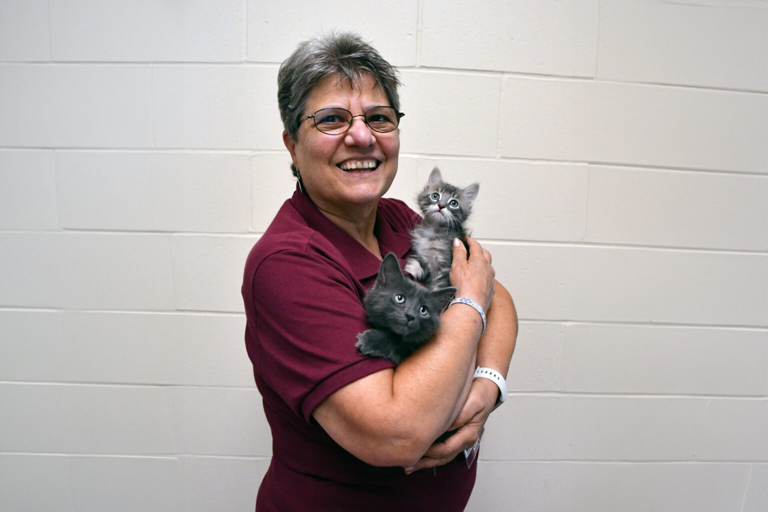 About Us | New Hampshire SPCA