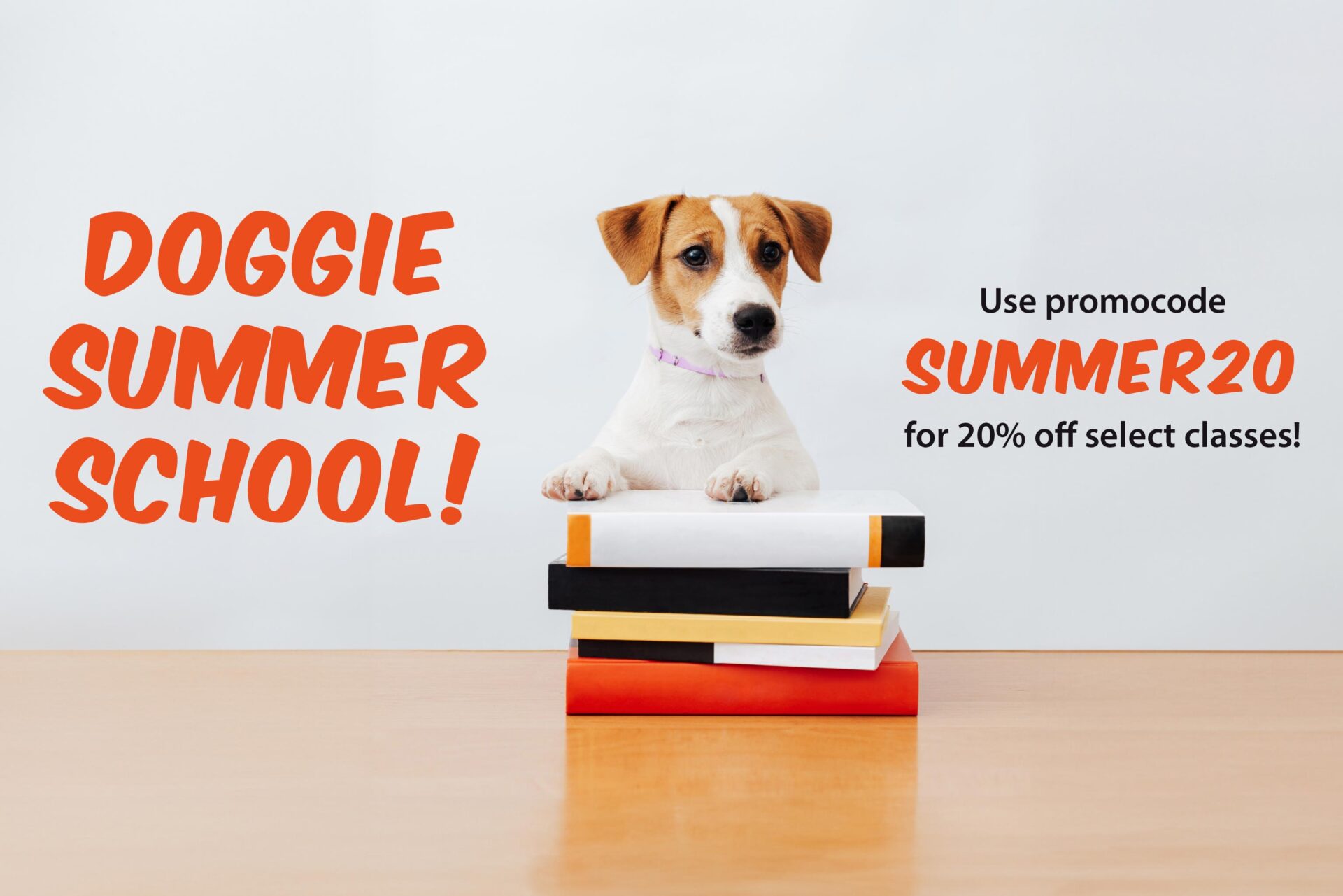 SummerSchool_2025 - NHSPCA