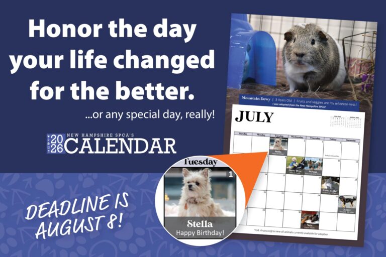 ReserveADayGraphic_2025 - NHSPCA
