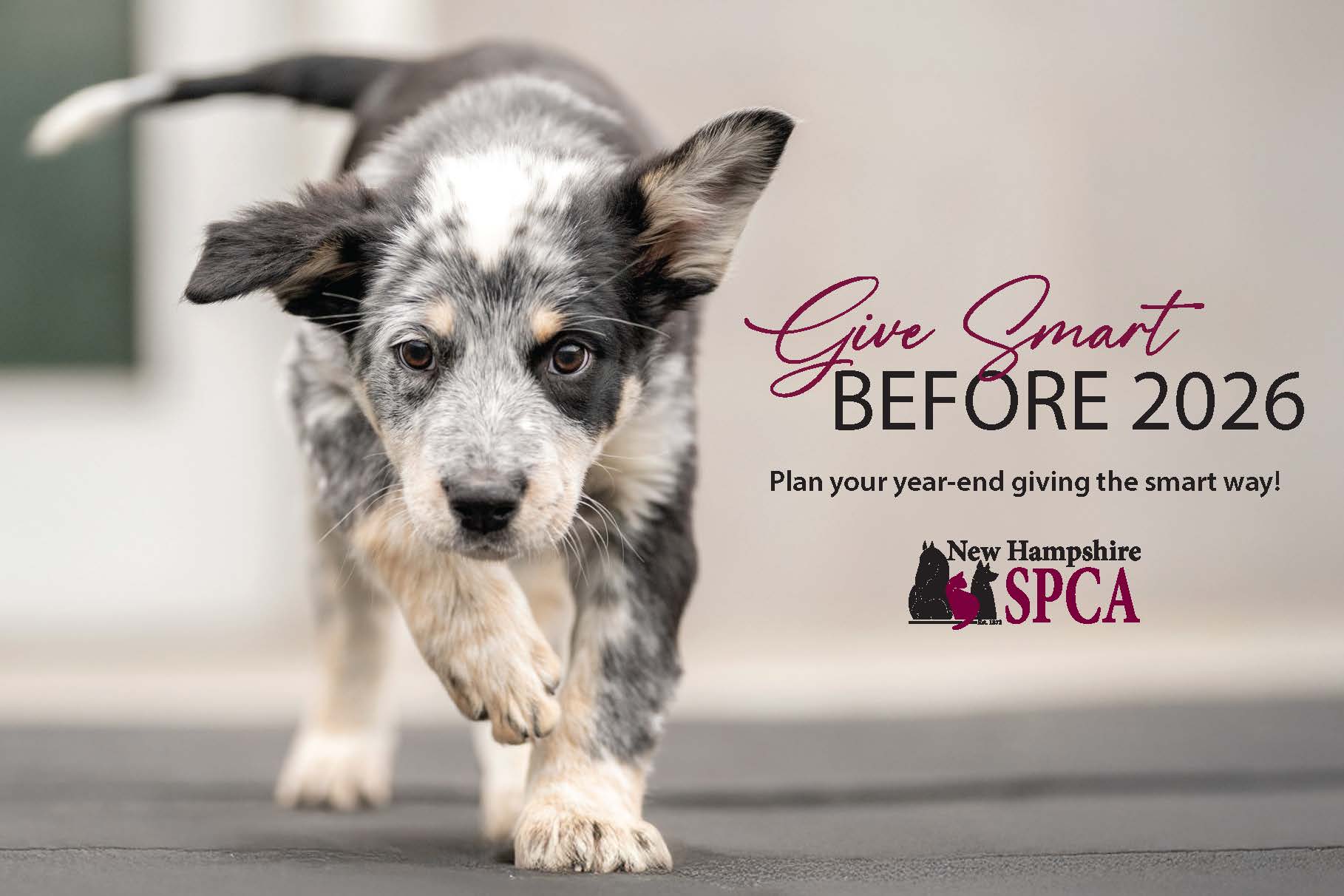 Give Smart Before 2026 - NHSPCA