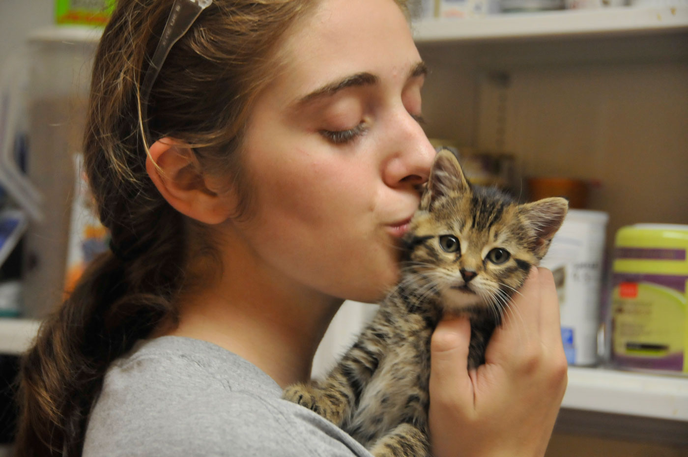 How To Adopt - NHSPCA