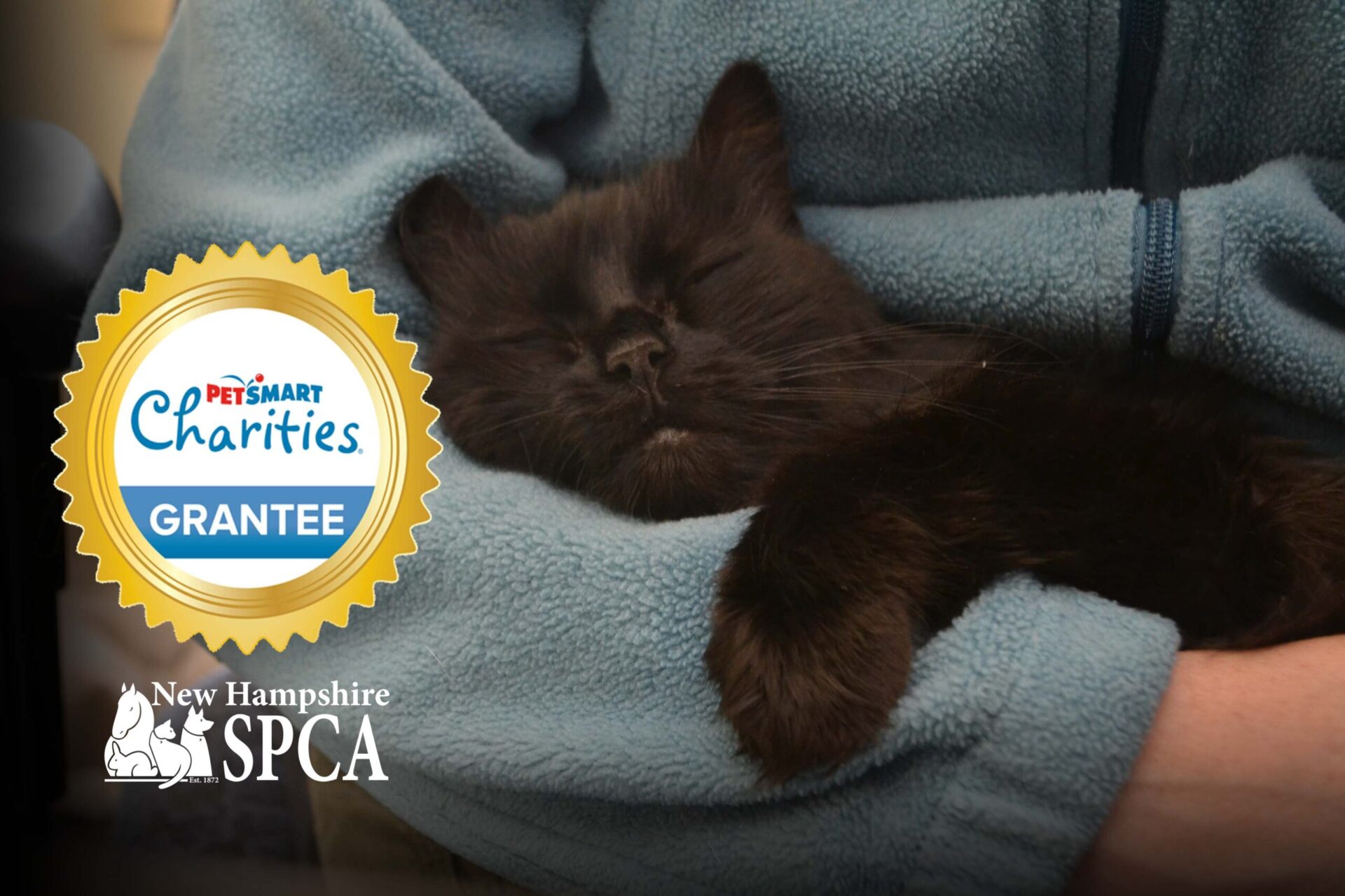 Our Best Kept Secret - NHSPCA
