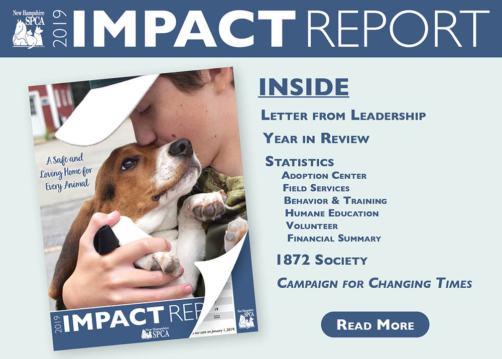 ImpactReport- NHSPCA