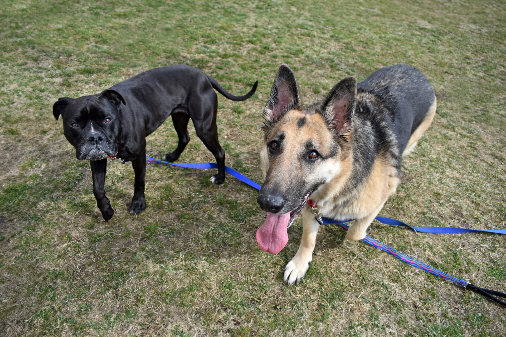 In this Together... - NHSPCA
