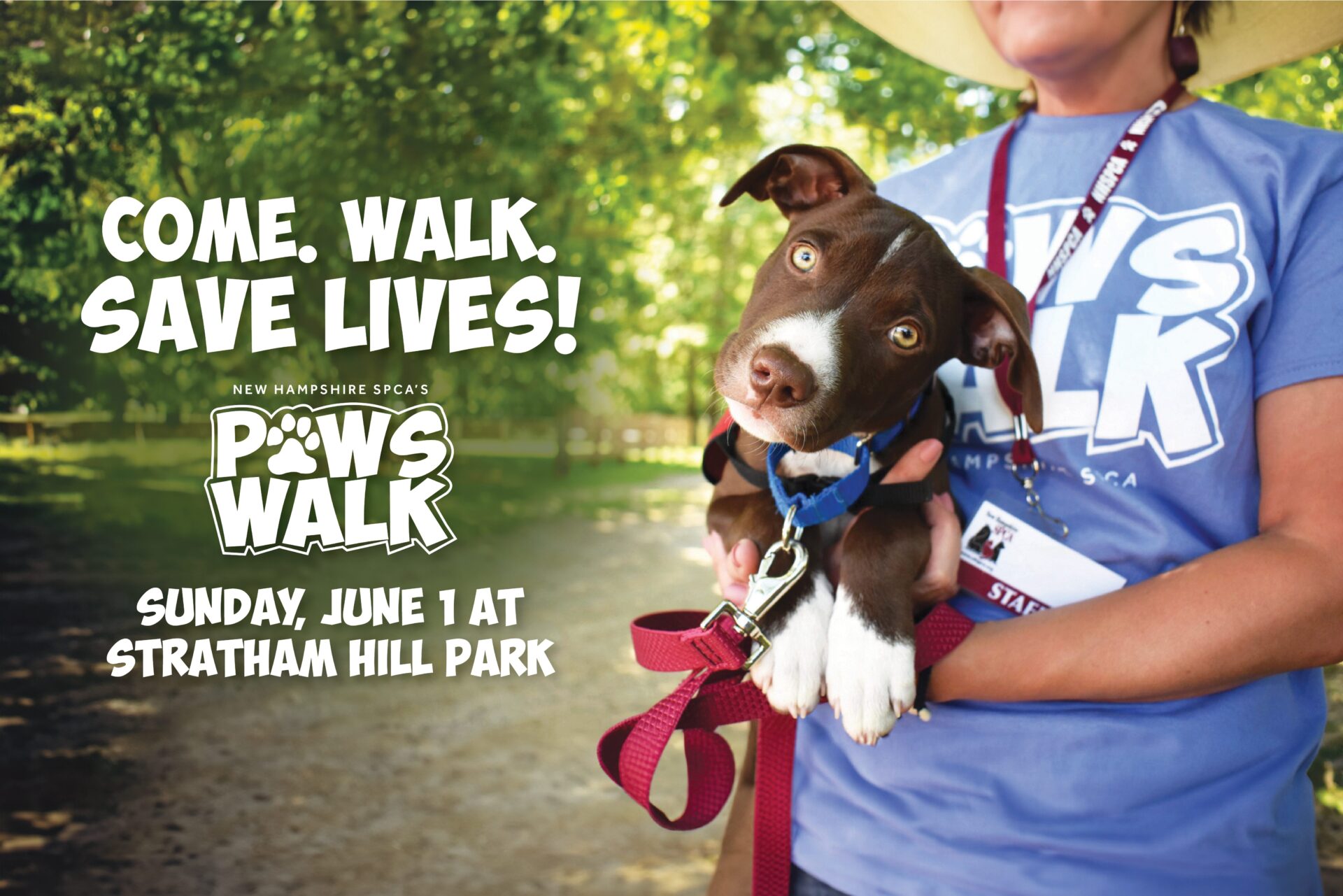 NHSPCA's Paws Walk: Saving lives is a walk in the park!