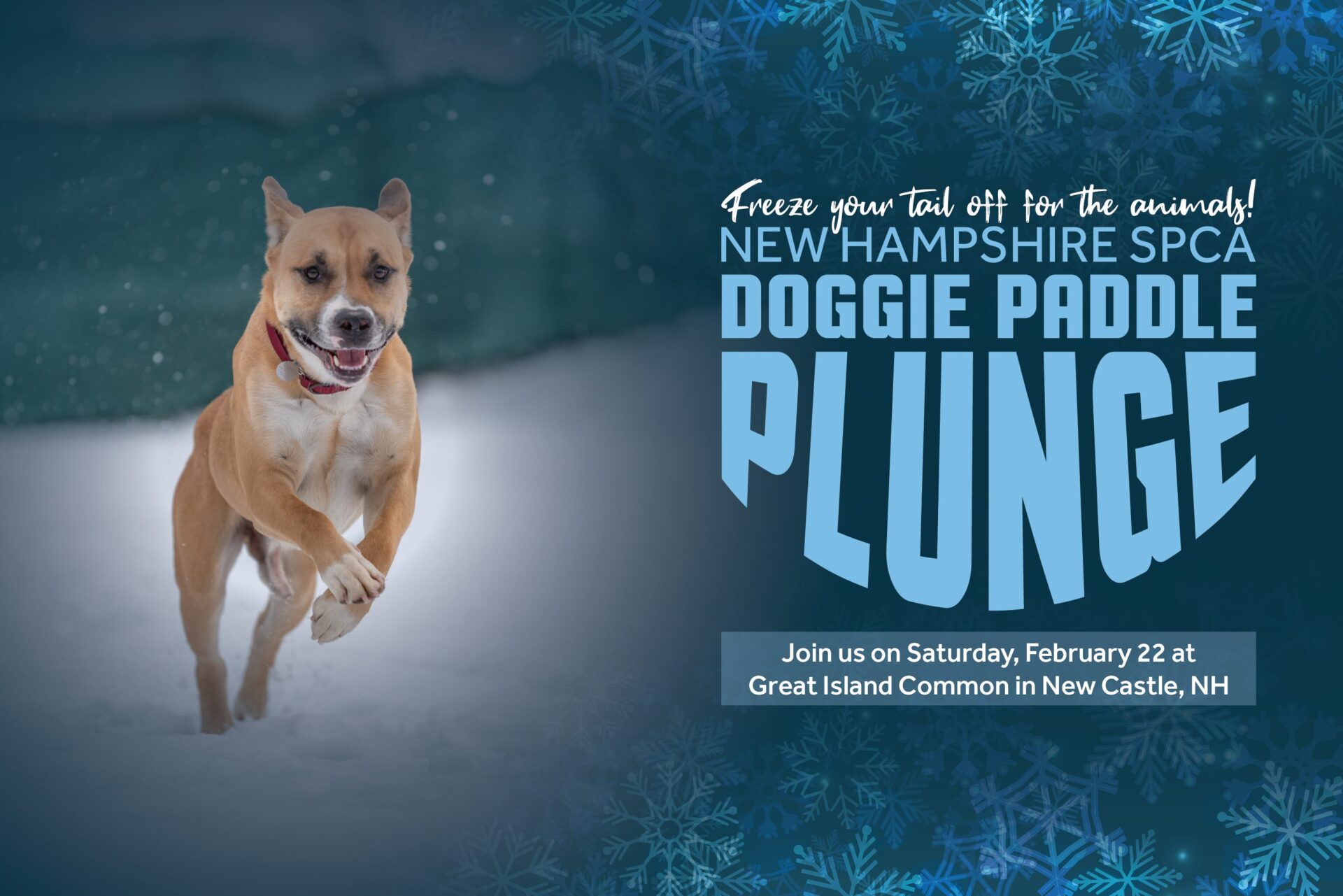 Plunge_WebsiteBanner_2025 - NHSPCA