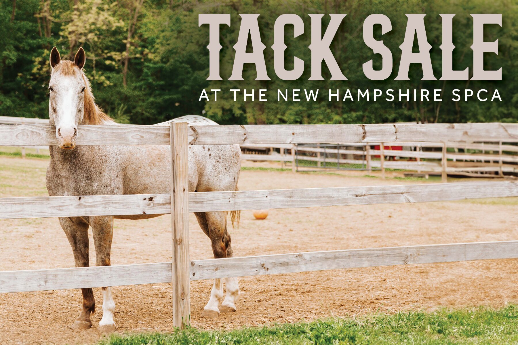 Tack Sale - NHSPCA