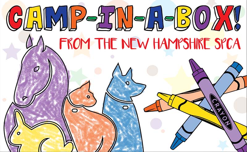 camp in a box - NHSPCA