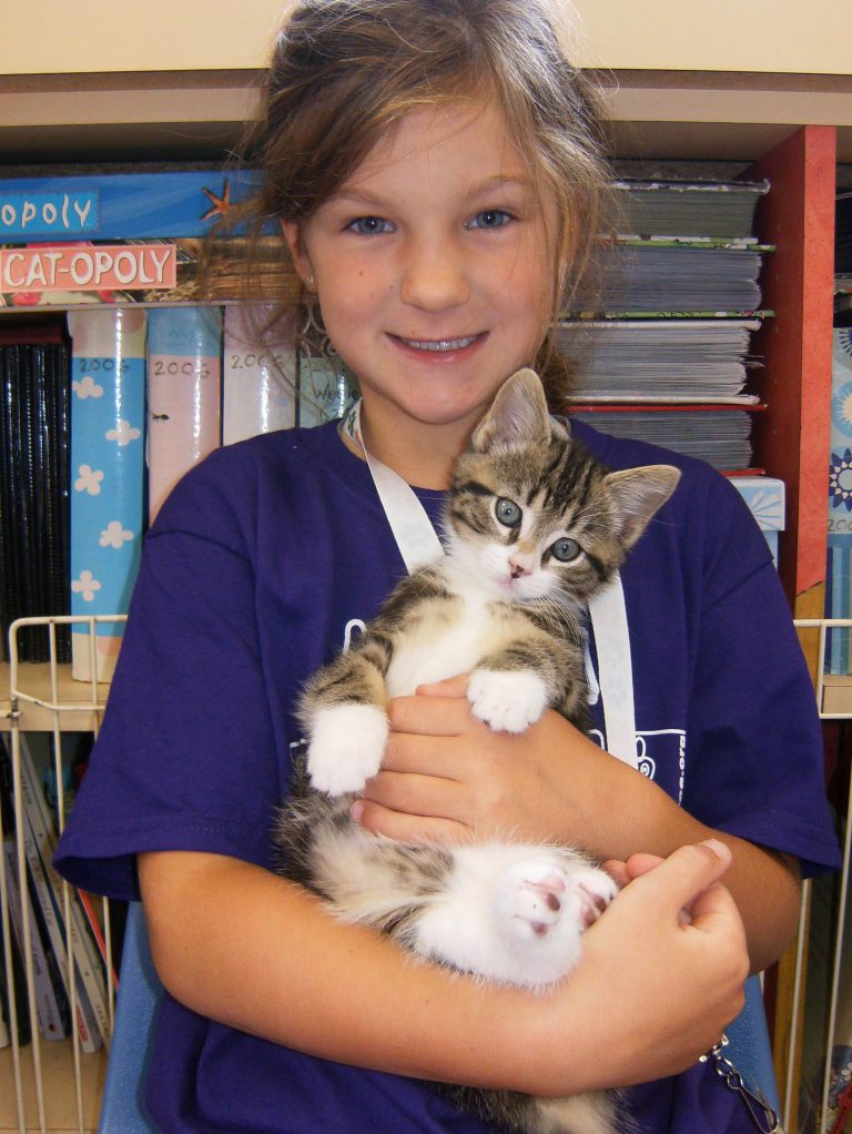 NHSPCA | New Hampshire SPCA