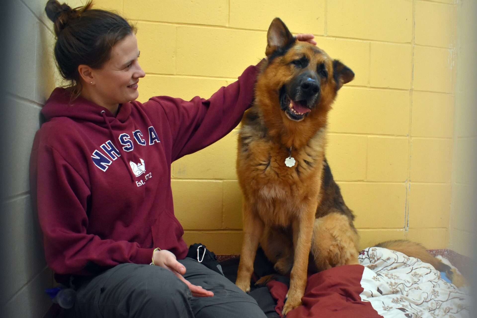 Kennel Enrichment Program - NHSPCA