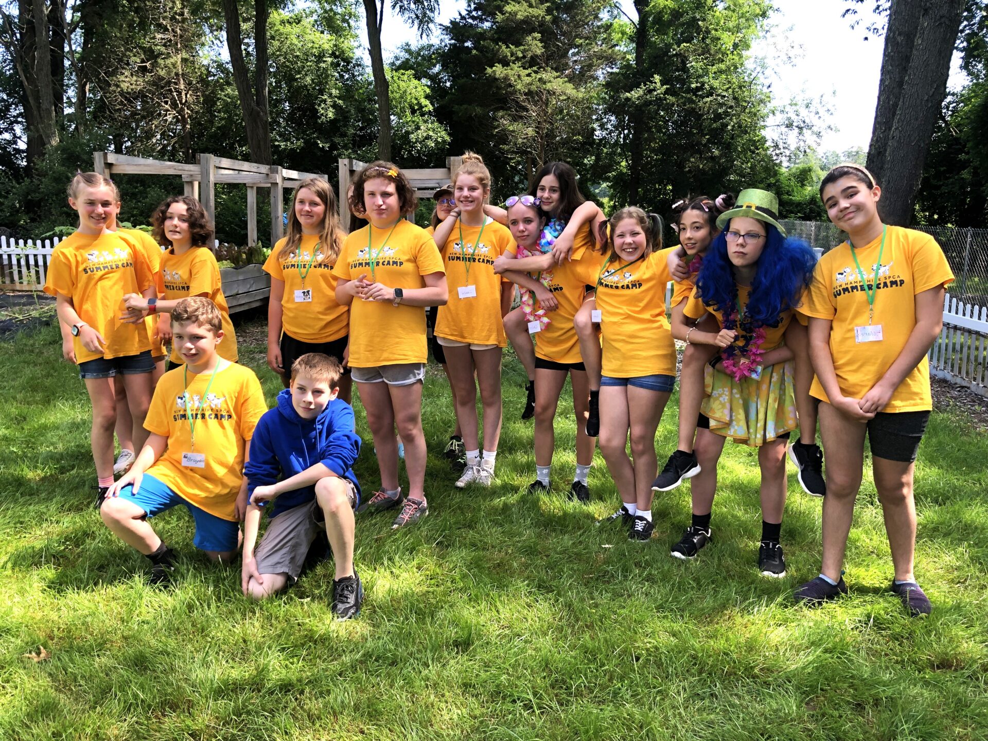 Summer Camp 2025 - NHSPCA