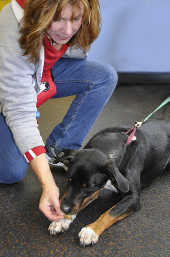 NHSPCA | New Hampshire SPCA