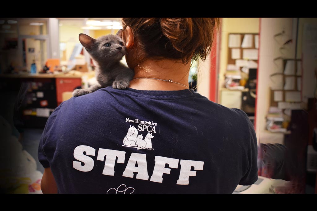 Employment Opportunities - NHSPCA