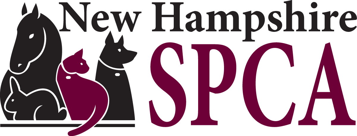 Low-Cost Spay/Neuter Clinics - NHSPCA